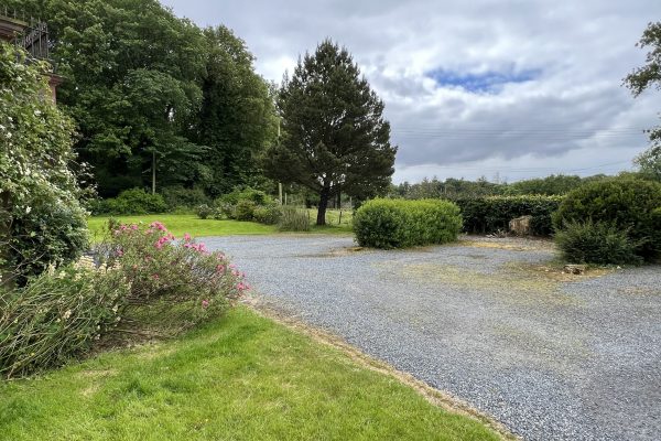 Property - Williamson and Henry