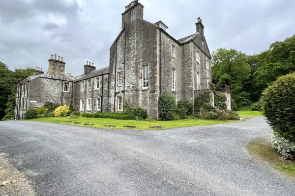 Property - Williamson and Henry