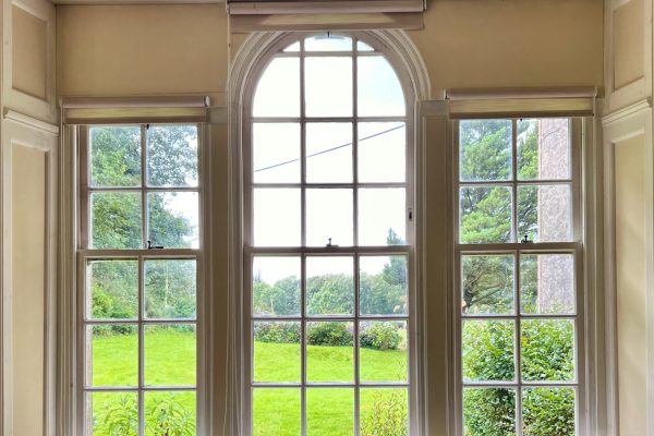 Property - Williamson and Henry